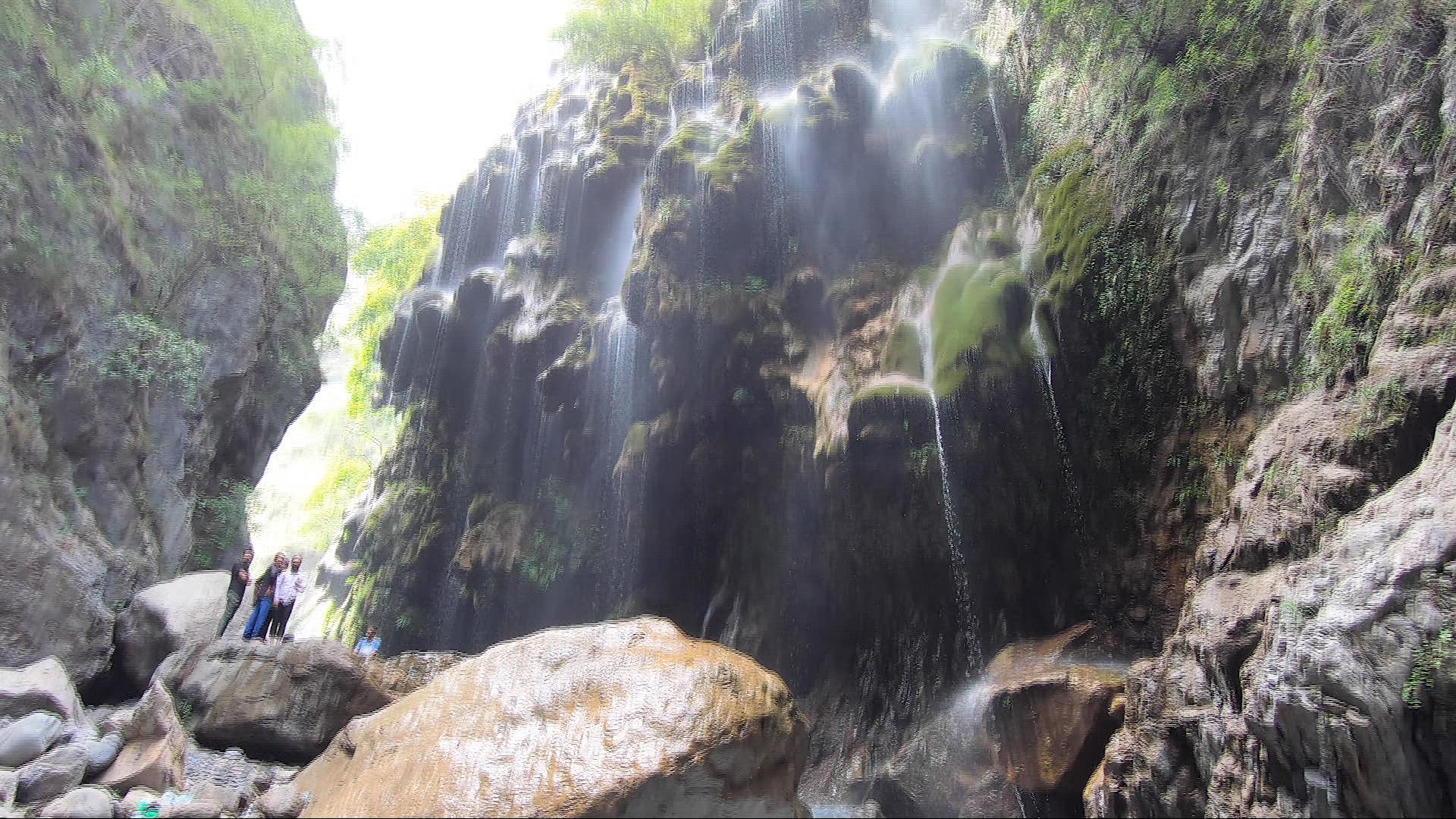 Watch MTA1 World live